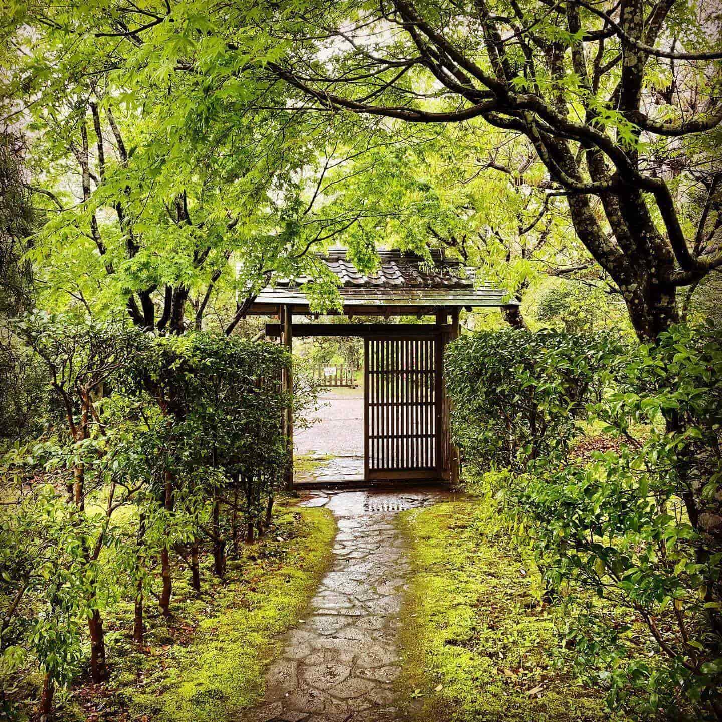 Shiroyama Park: A perfect slice of Chiba’s natural beauty and history ...