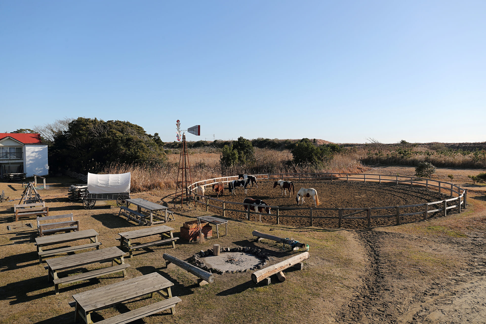 Sunshine Stables | Visit Chiba