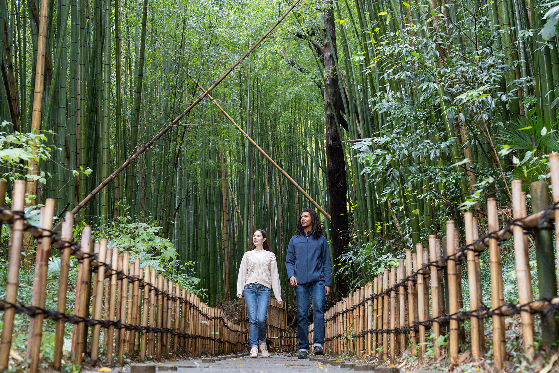 Sakura City: A Hidden Gem between Tokyo and Narita | Visit Chiba