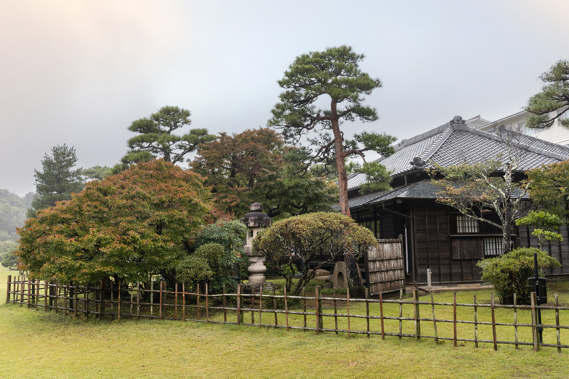 Sakura City: A Hidden Gem between Tokyo and Narita | Visit Chiba