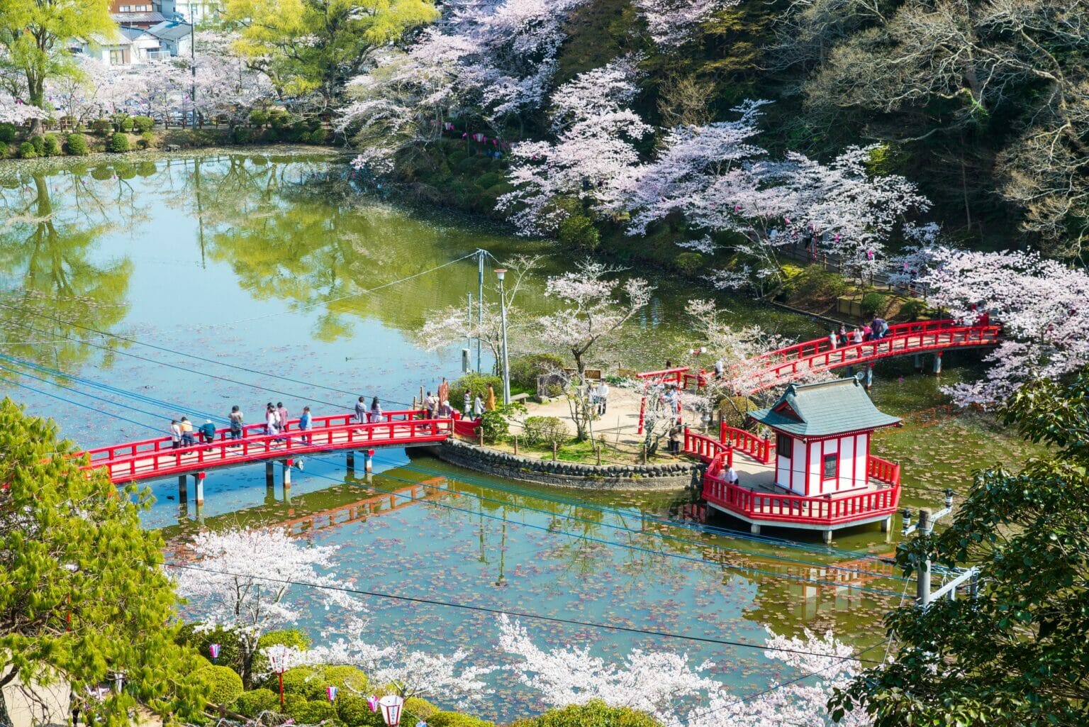 Mobara Park（茂原公園） | Visit Chiba