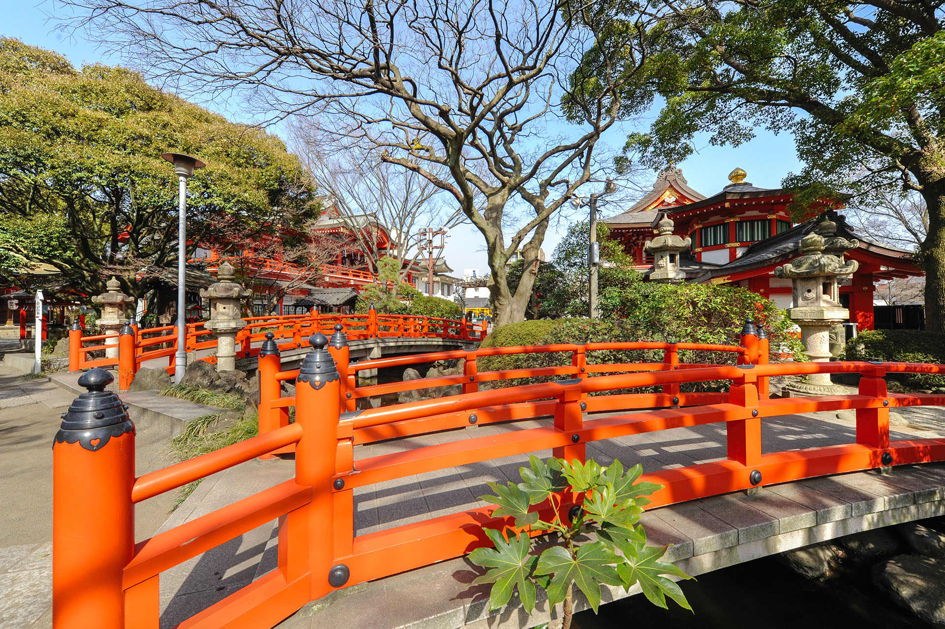 Chiba City | Explore the local gems of urban Chiba | Visit Chiba
