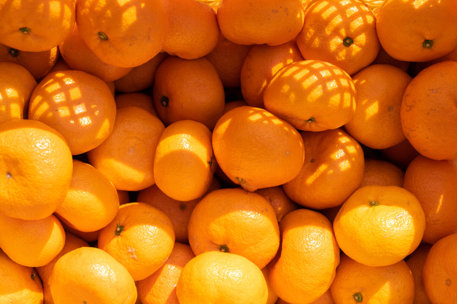 Chikura Orange Center（千倉オレンジセンター） | Visit Chiba