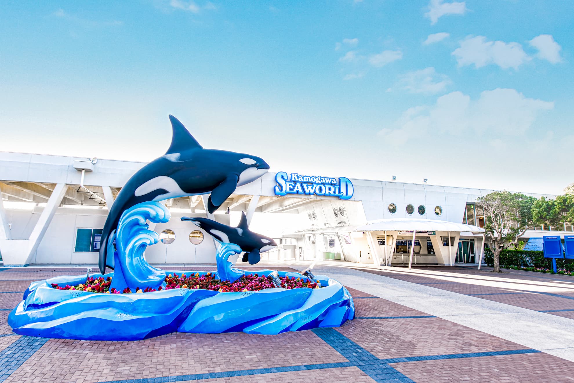 Kamogawa Sea World（鴨川シーワールド） | Visit Chiba