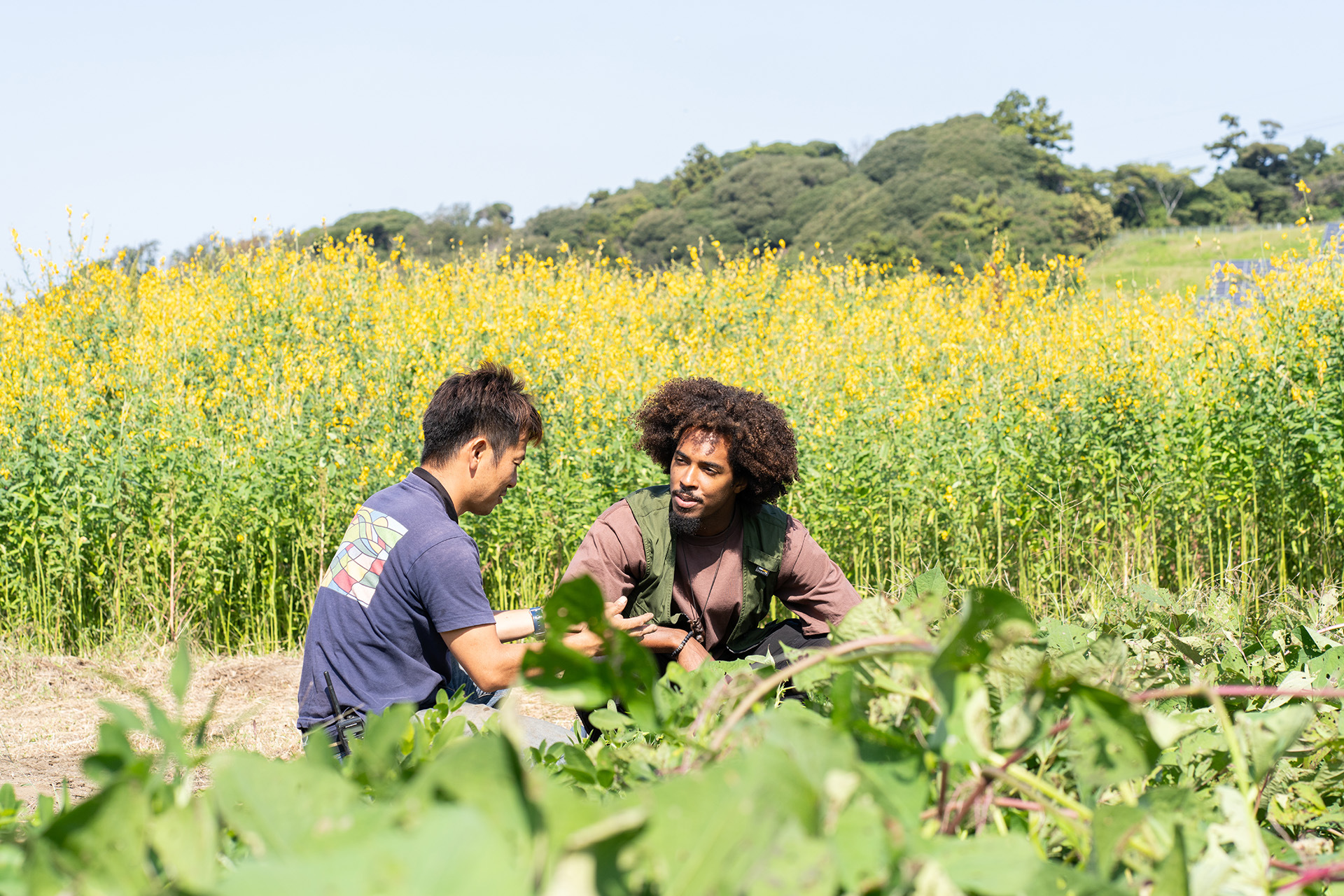 KURKKU FIELDS | A Vanguard of Sustainable Living | Visit Chiba