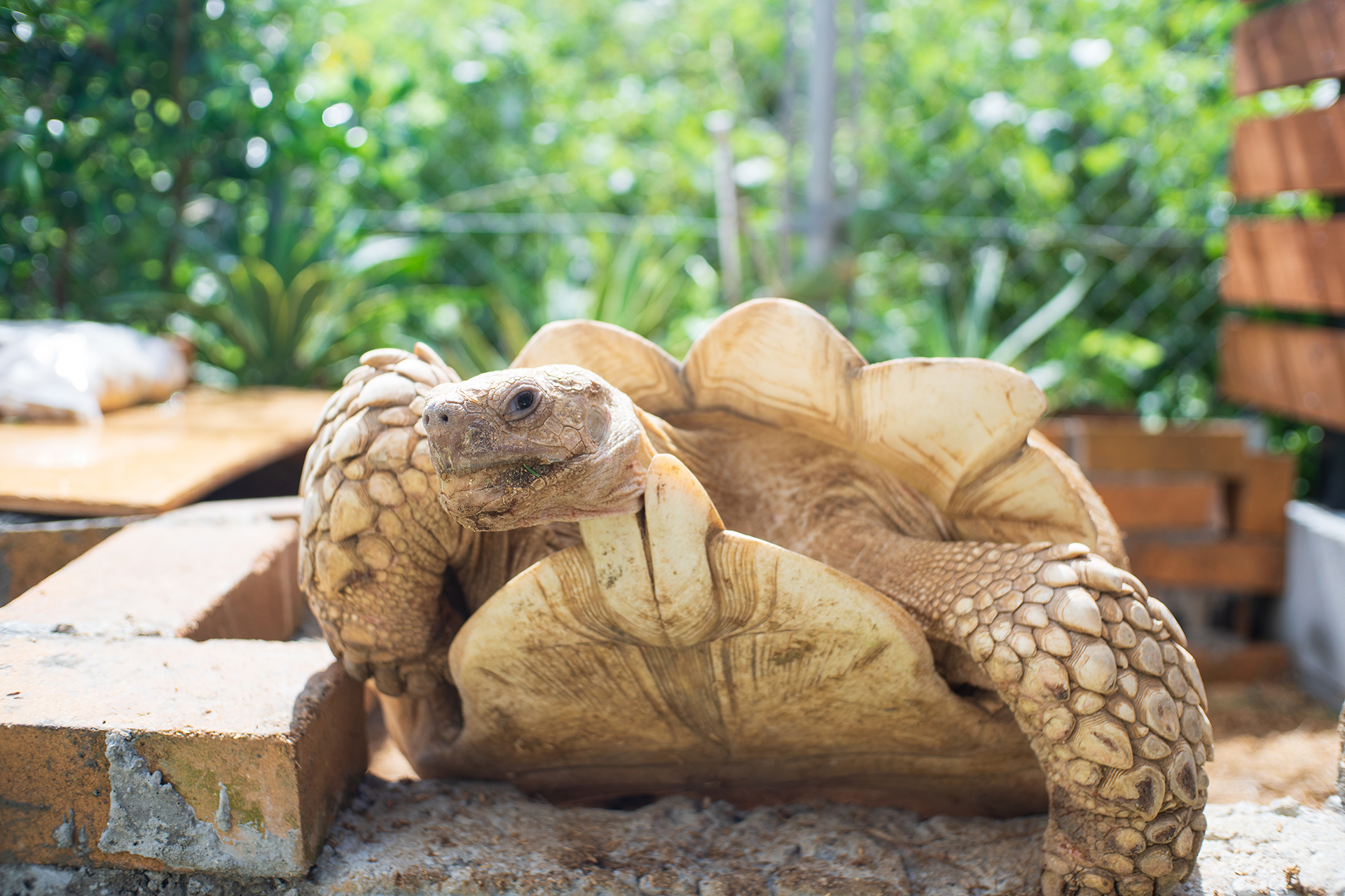 Malibu Point | Surf, SUP, or Simply Savor the Japanese Seaside | Visit ...