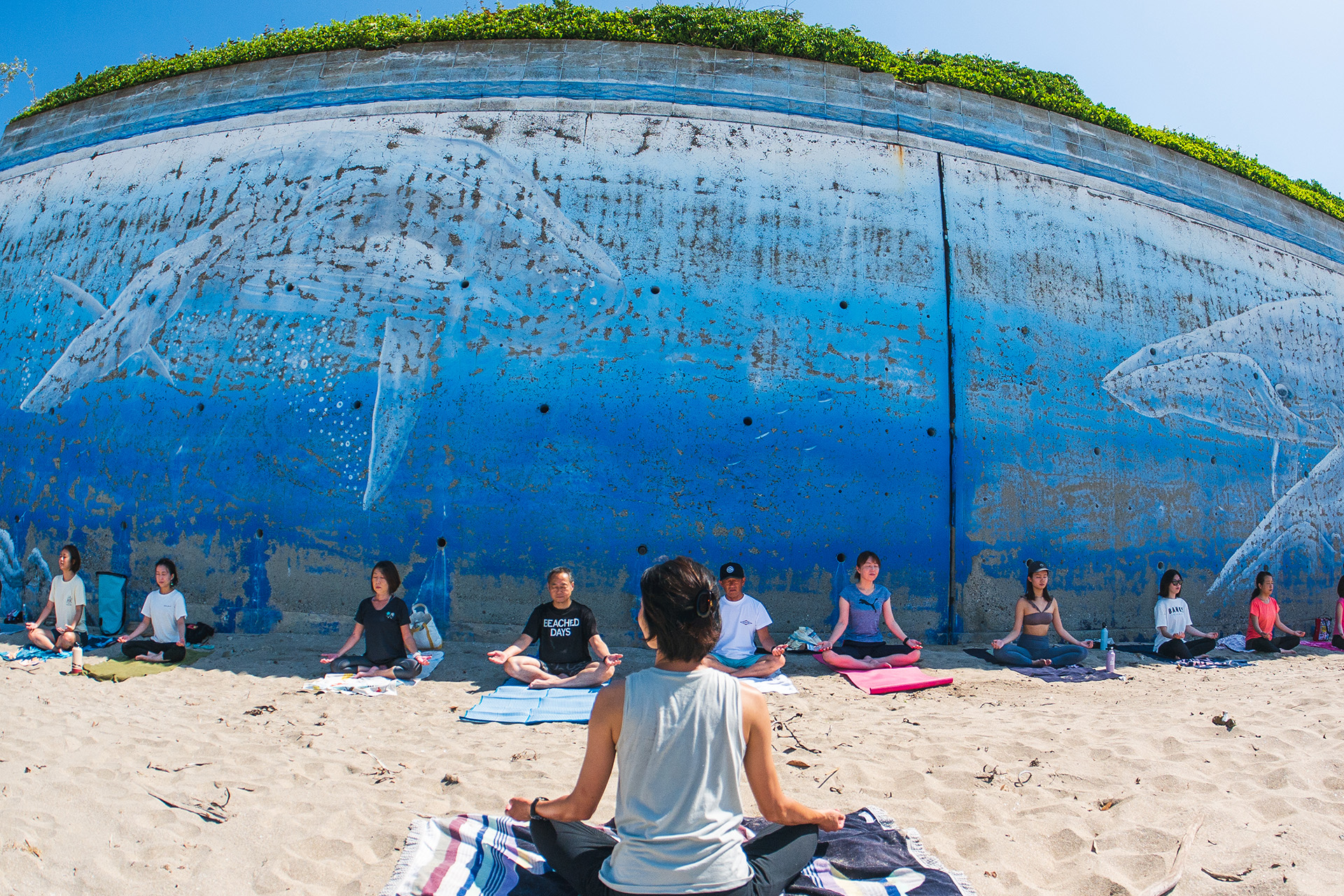 Malibu Point | Surf, SUP, or Simply Savor the Japanese Seaside | Visit ...